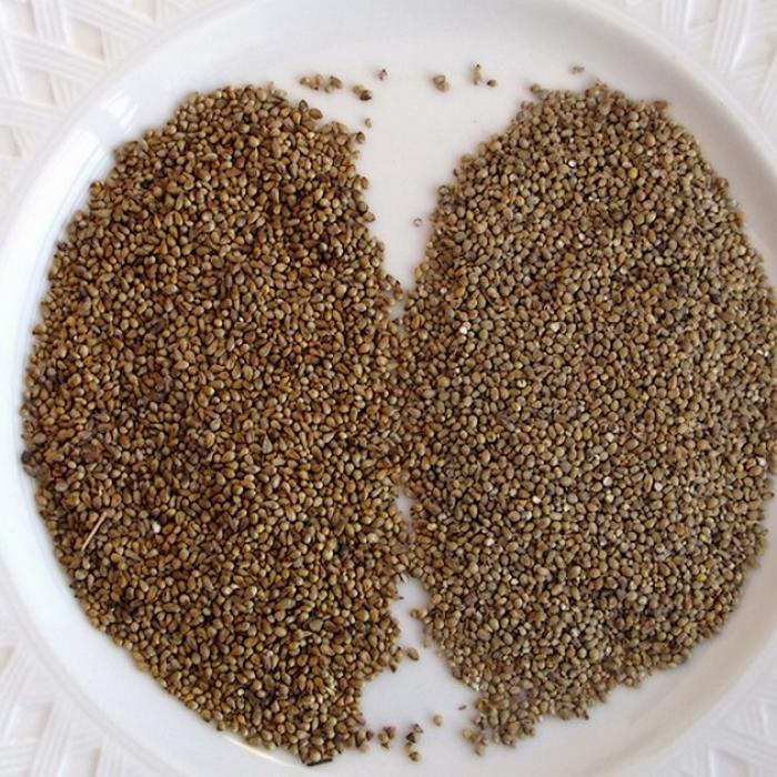 Comment cuisiner le millet et profiter de ses bienfaits