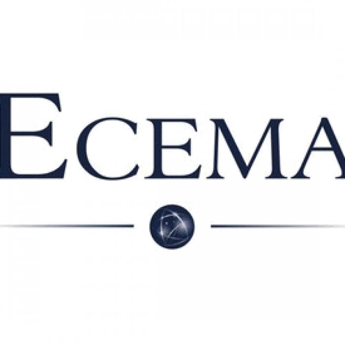 L'ECEMA : une école de management à Lyon