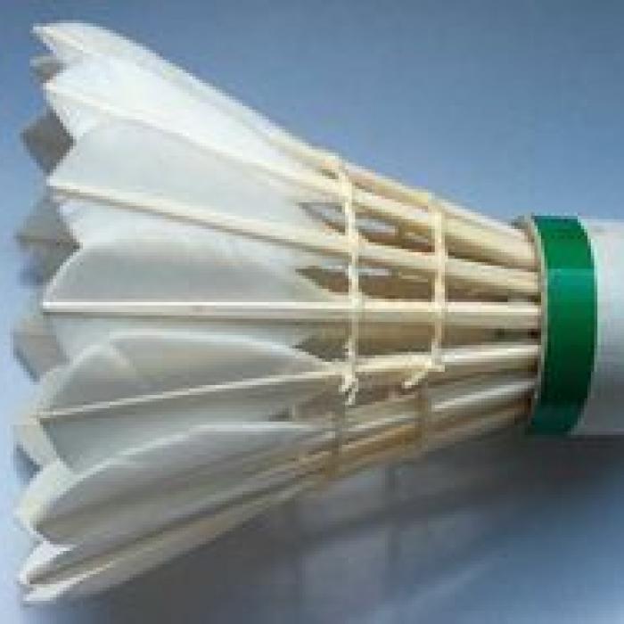 Le badminton : le sport le plus pratiqué en Asie