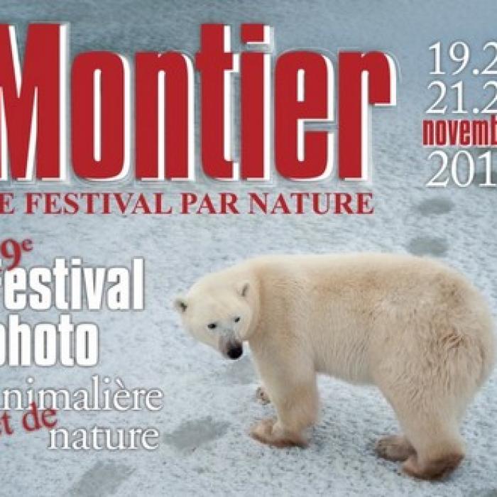Le Festival de la photo animalière de Montier-en-Der