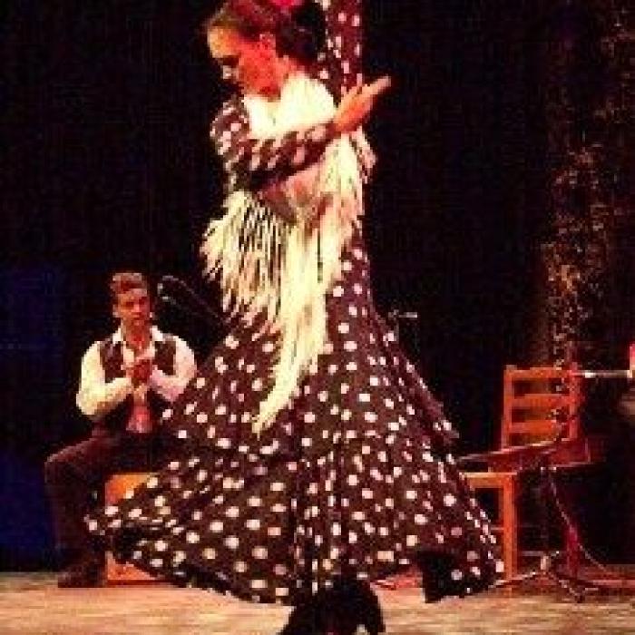 Le flamenco : présentation et origines