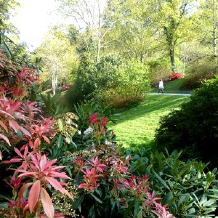 Le Jardin du Conservatoire botanique de Brest