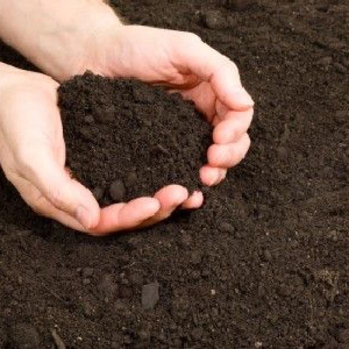 Le sol de jardin : les secrets d'une bonne terre