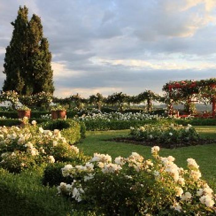 Les jardins ou l'art de l'éphémère : une exposition de Georges Lévêque