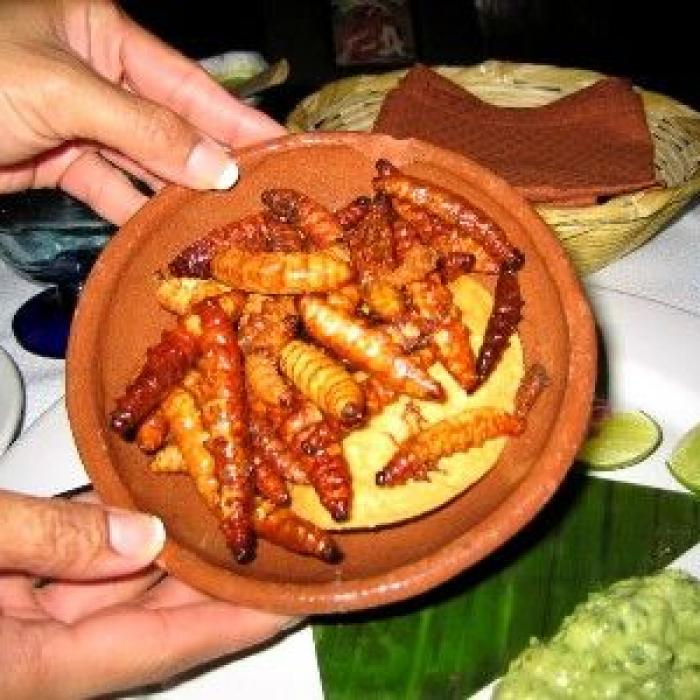 Manger des insectes : mode farfelue ou idée pleine d'avenir